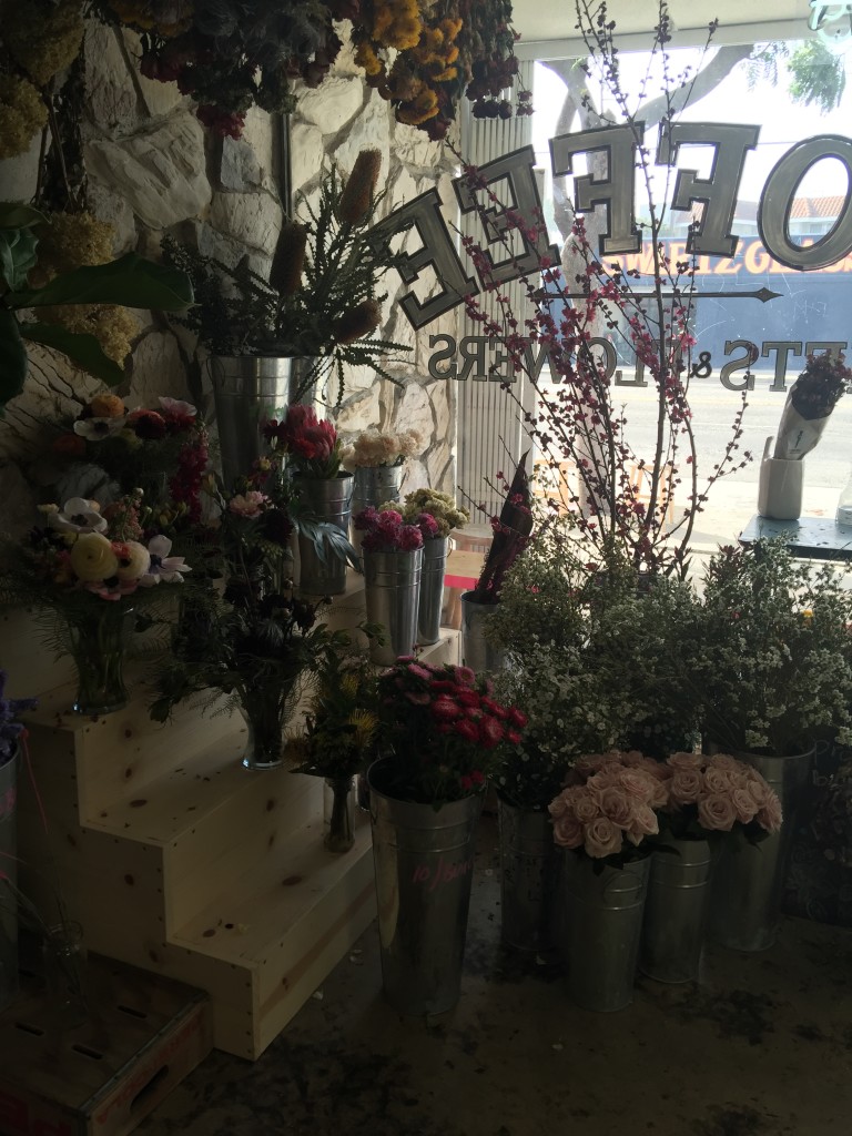 Hinoki and the Bird, Rose Cafe and Flower Boy - Gotham Gal